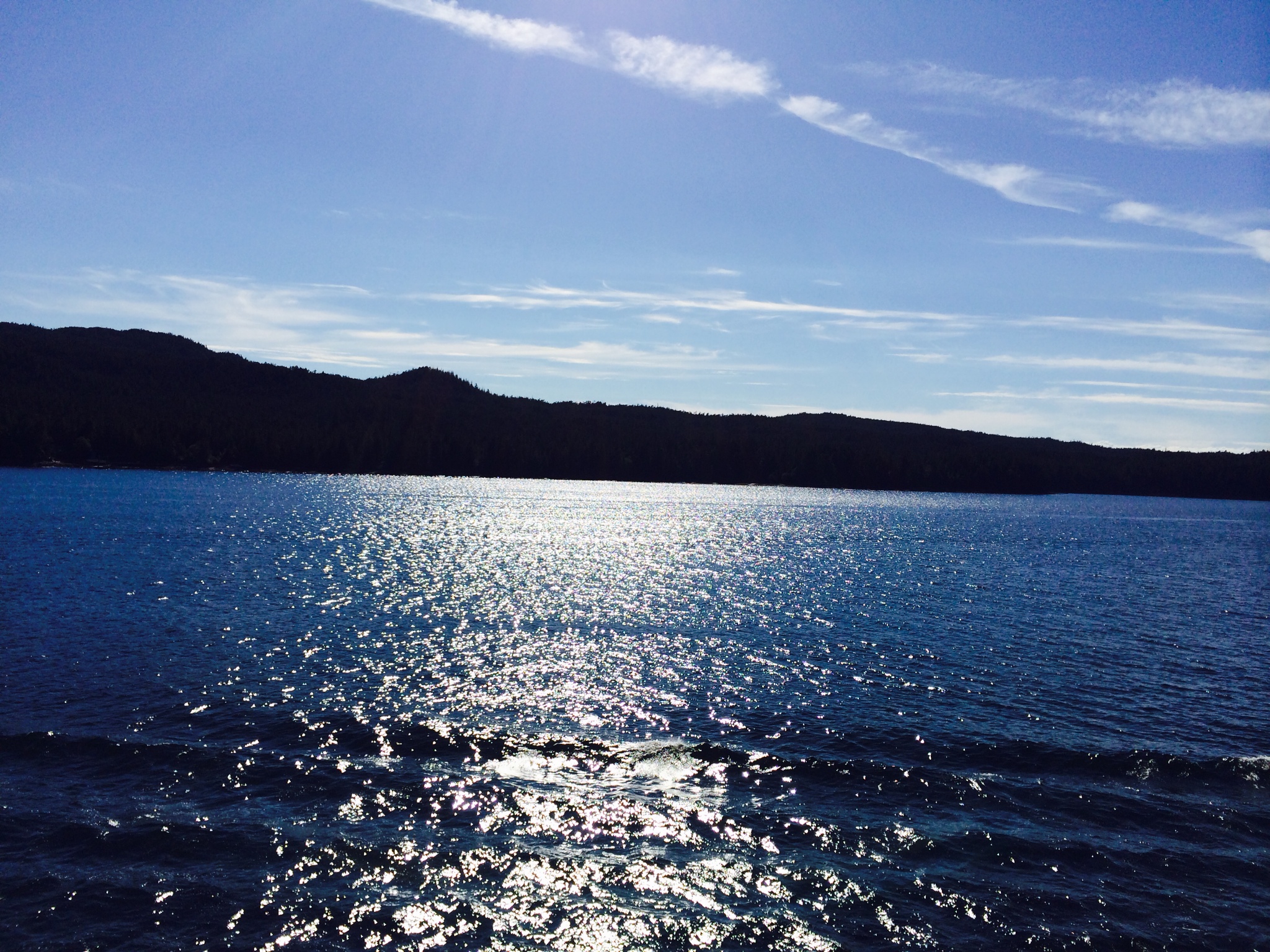 A single hoarse cry of welcome/Isabel Allende THE CLASSIC WRITER by ...